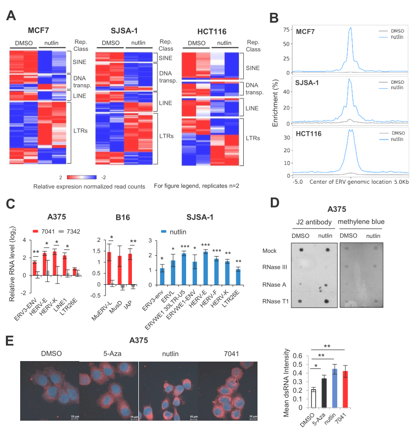 Can Dis | 药物激活p53增强针对肿瘤的免疫反应 - 知乎