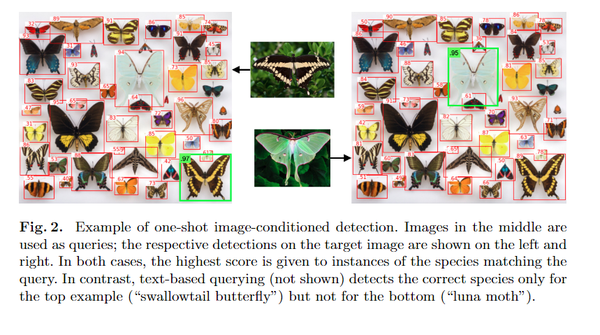 [ECCV 2022]Simple Open-Vocabulary Object Detection with Vision Transformers - 知乎