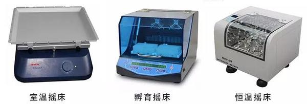 科研必备“武器”之生物摇床 - 知乎