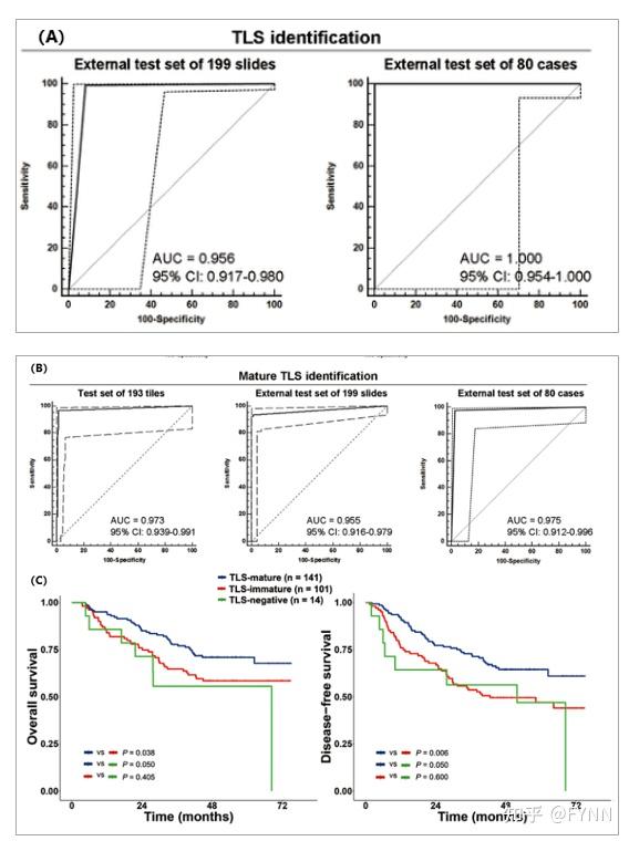 非因解读 | DSP空间转录组技术揭示食管鳞状细胞癌三级淋巴样结构的预后价值及分子特征 - 知乎