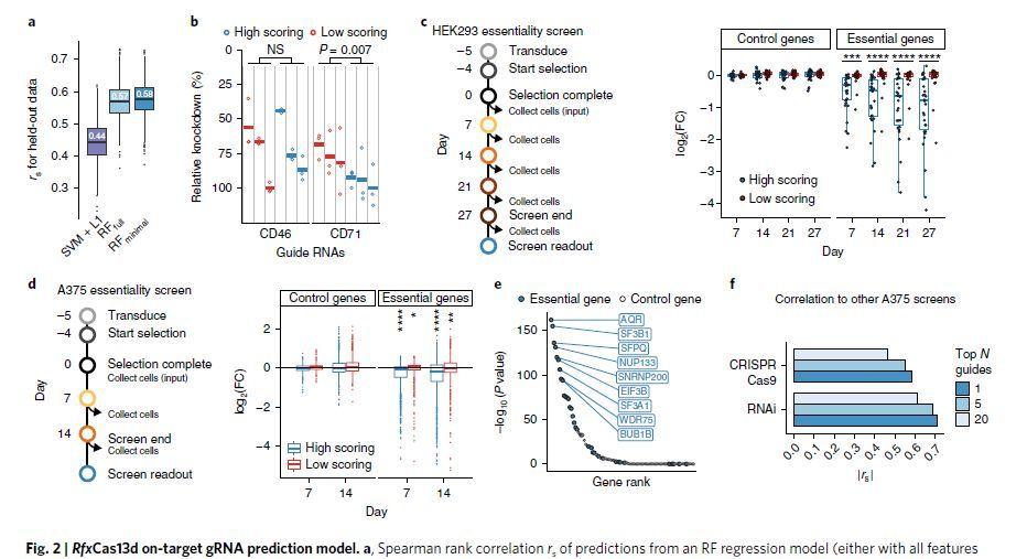 Nature Biotech. | 基于Cas13筛选的RNA设计 - 知乎
