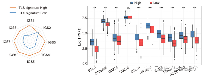 一篇science引出一个潜在生信热点— —三级淋巴结构（TLS），创新性高、生信发文空间巨大，看到就是赚到！ - 知乎