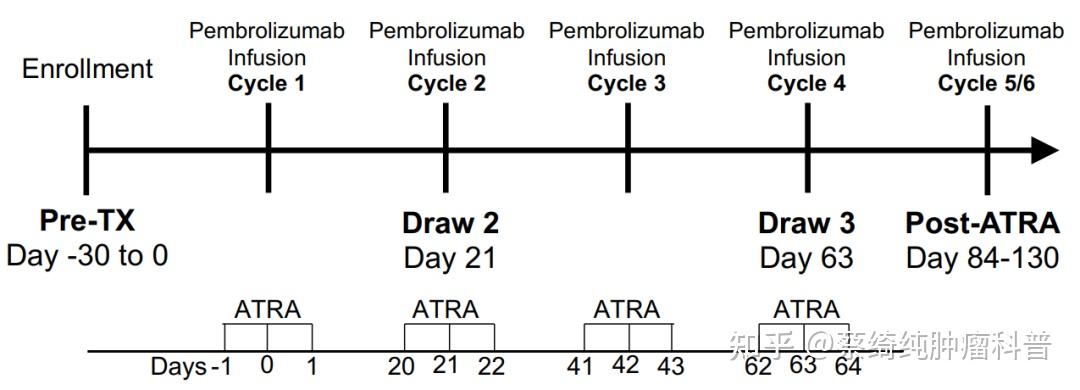 ATRA和PD-1单抗联合用药，提高PD-1效力 - 知乎