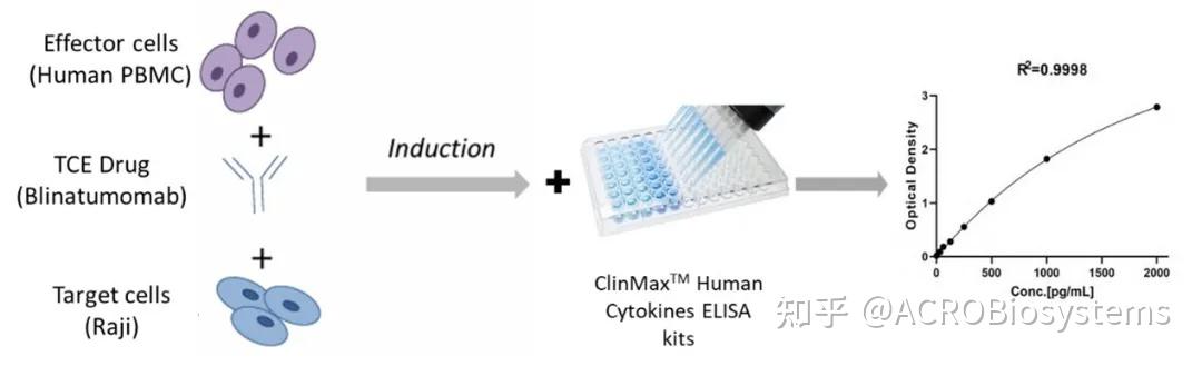 TCE药物活性分析案例分享——细胞因子检测 - 知乎