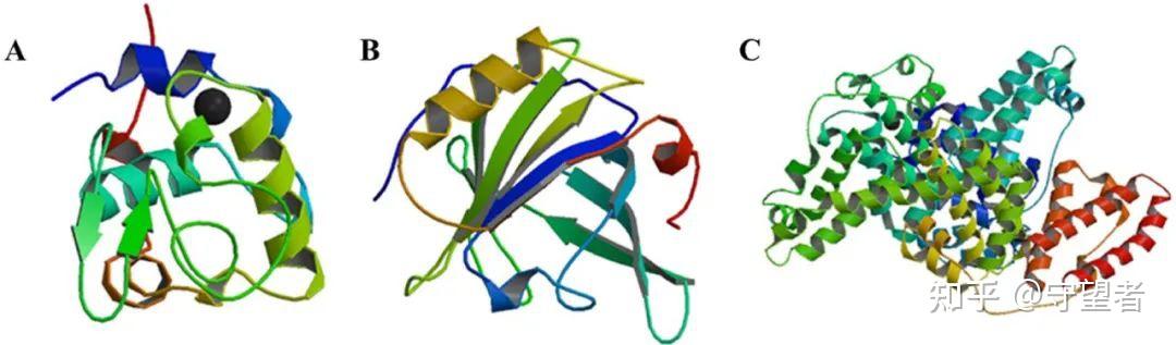 Food Chemistry综述：乳清蛋白和各种食品功能成分非共价相互作用 - 知乎