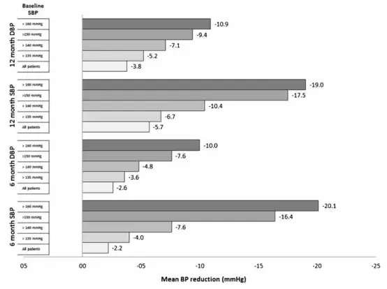 体外超声RDN技术，在临床试验中表现如何？ - 知乎