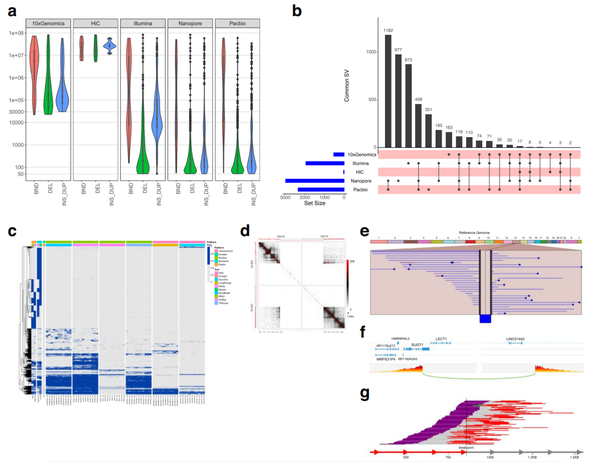 Genome Biol | 多测序技术分析癌症参考细胞系中的结构变异，构建高置信度共识调用集 - 知乎