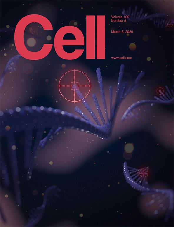 科学与艺术的结合！《CELL》100+张期刊封面鉴赏｜2020年篇 - 知乎