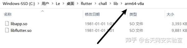【flutter对抗】blutter使用+ACTF习题 - 知乎