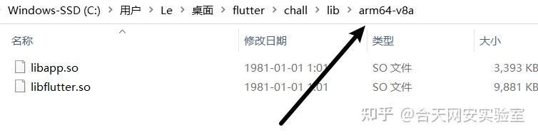 【flutter对抗】blutter使用+ACTF习题 - 知乎