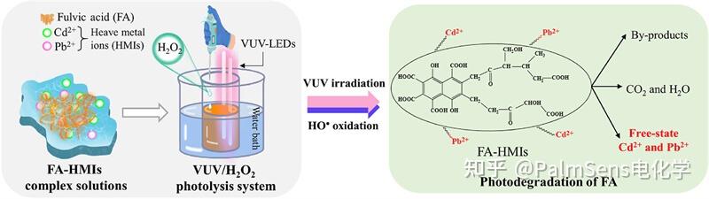 【EmStat3电化学应用】通过VUV/H2O2光解从富里酸-重金属配合物（FA-HMIs）中释放自由态离子：富里酸的光降解和Cd2+和Pb2 ...