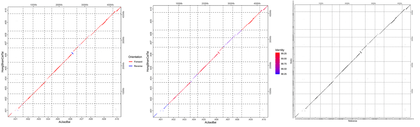 R绘图 | mummer比对可视化 - 知乎