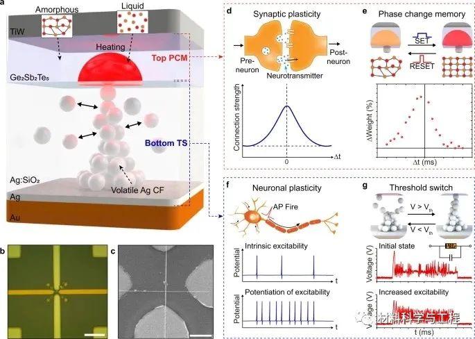 《Nature Commun》：使用记忆突触同时模拟突触和内在可塑性 - 知乎