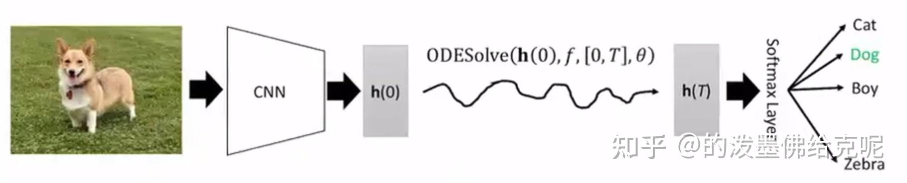 Neural ODE（Ordinary Differential Equations）/神经常微分方程 - 知乎