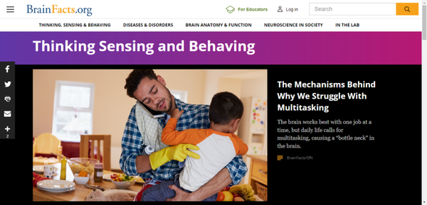 神经科学入门｜来BrainFacts一起了解“大脑那些事儿” - 知乎