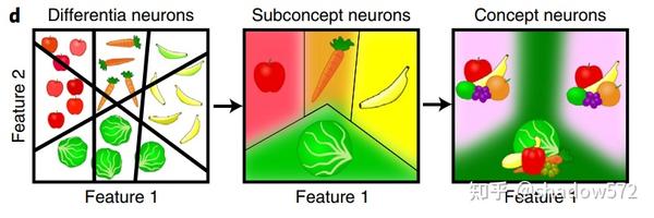 【论文笔记】Explainable neural networks that simulate reasoning - 知乎