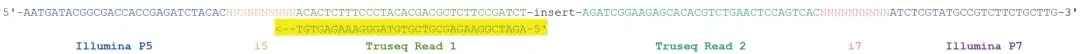 一文搞懂 Illumina 接头序列 - 知乎