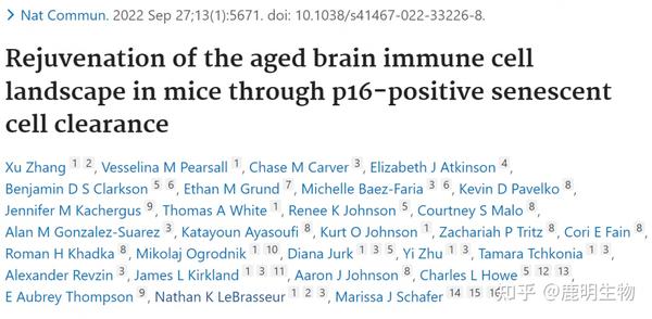 单细胞重磅研究！p16基因清除大脑衰老细胞焕发免疫活性 - 知乎