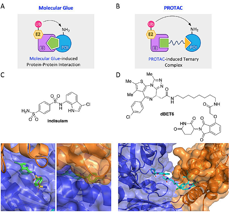 提高PROTAC药物口服生物利用度的7大策略解析 - 知乎