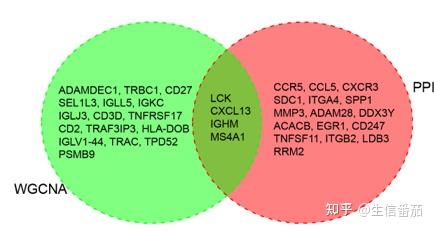 如何快速筛选关键基因？可以试试PPI网络 +WGCNA，外加免疫浸润分析，直接搞定4分+纯生信文章！ - 知乎