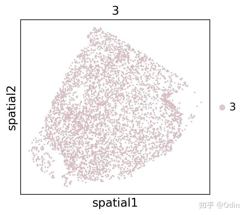 教程：用scanpy和squidpy分析单细胞空间转录组数据 - 知乎