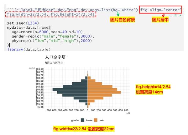 Rmarkdown学习-code chunk程序代码块 - 知乎