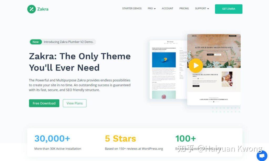 2022年最佳WordPress主题列表（免费和付费） - 知乎