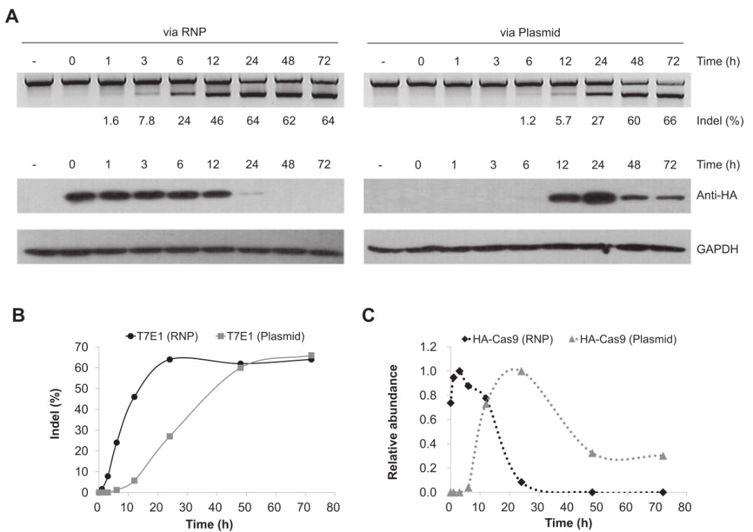 DNA-free基因组编辑技术任重而道远 - 知乎