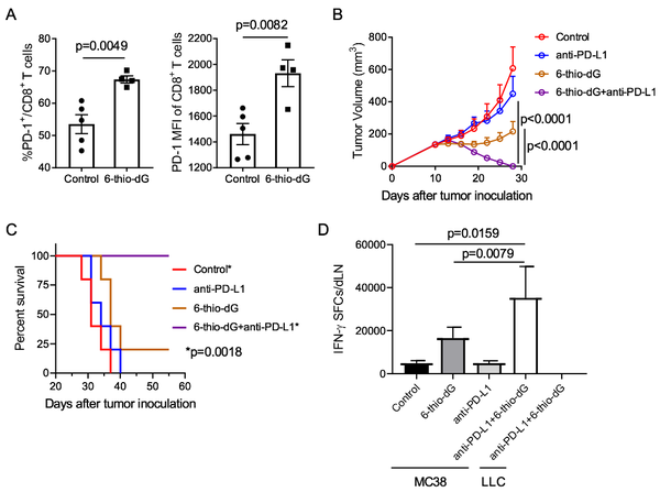 Cancer Cell | 端粒损伤激活抗肿瘤免疫应答机制 - 知乎