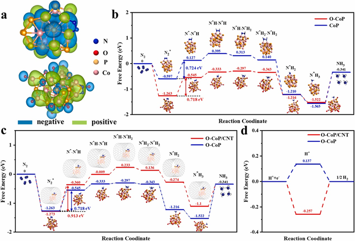 武汉大学AFM:单原子催化剂硝酸根还原制氨 - 知乎