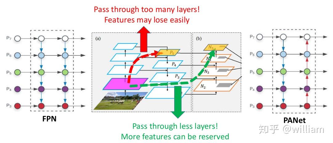 一文读懂EfficientDet - 知乎
