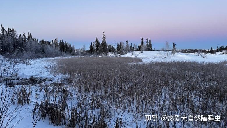 厄尔尼诺现象向北移动：热带天气如何影响北极 - 知乎