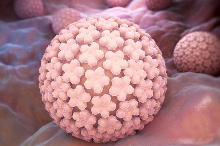 华夏源细胞存储：预防宫颈癌，接种HPV疫苗保护期多久？免疫力不可少！ - 知乎