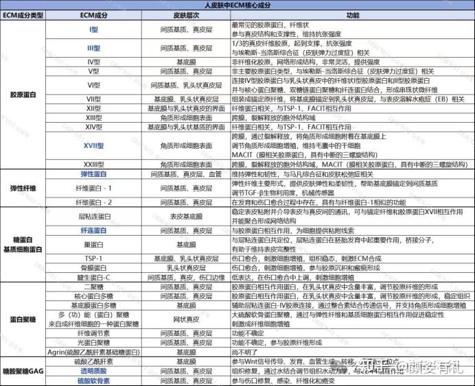 一篇搞懂ECM - 知乎