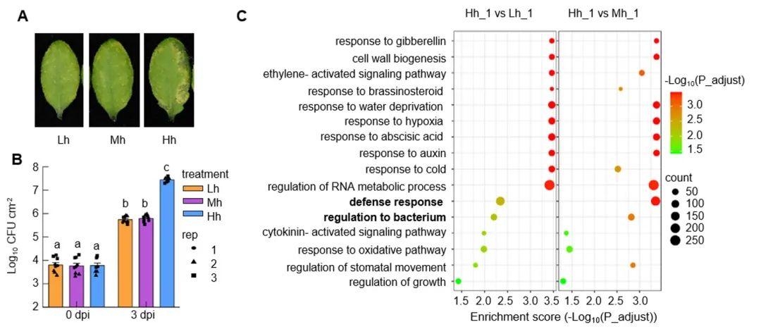 The EMBO Journal秀芳团队揭示高空气湿度抑制植物免疫和促进病害的新机制 - 知乎
