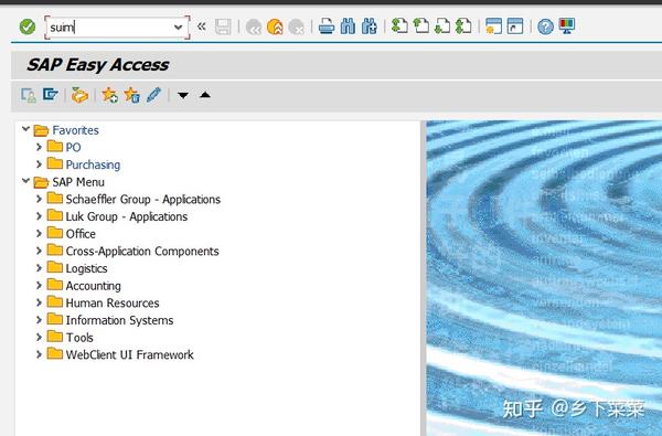 SAP报错：无该权限，如何查询对应的ROLE - 知乎