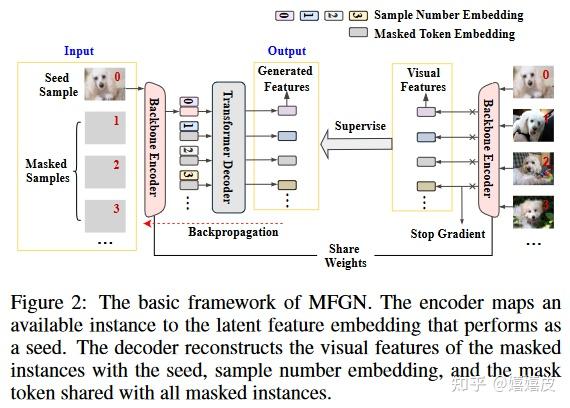 关于Few-Shot图像分类任务中的Transformer的小记录 - 知乎