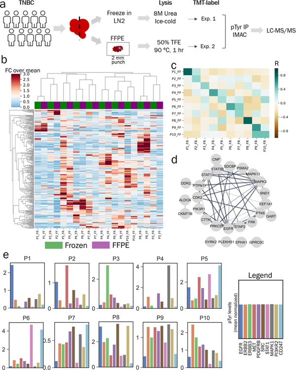 文献解读 | FFPE 样本磷酸化蛋白组学分析揭示肿瘤特异性信号网络 - 知乎