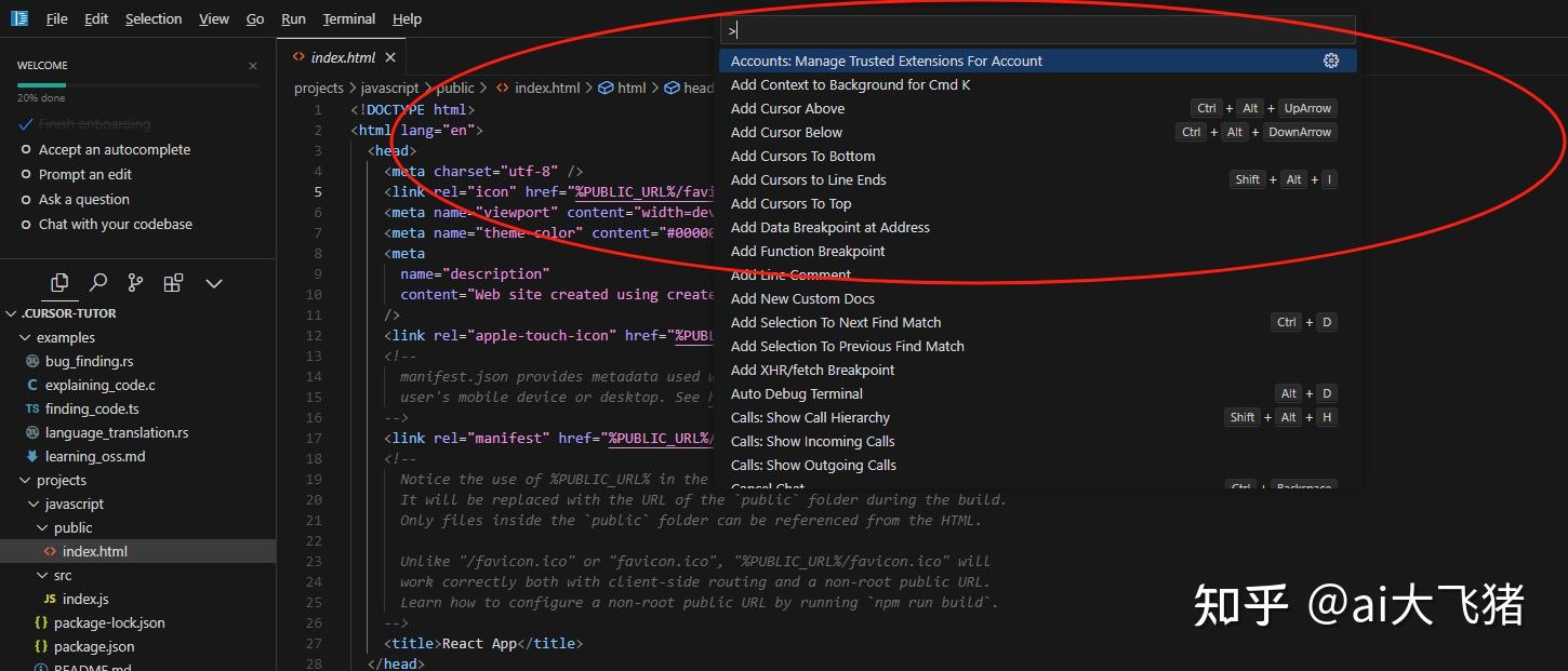 Cursor超详细使用教程，从安装、订阅到高级技巧的全面教程-解锁 Cursor 的全部功能 - 知乎