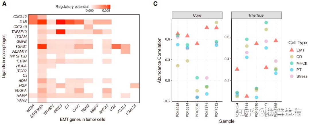 SCI 热门分享| 单细胞转录组联合空间转录组 - 知乎