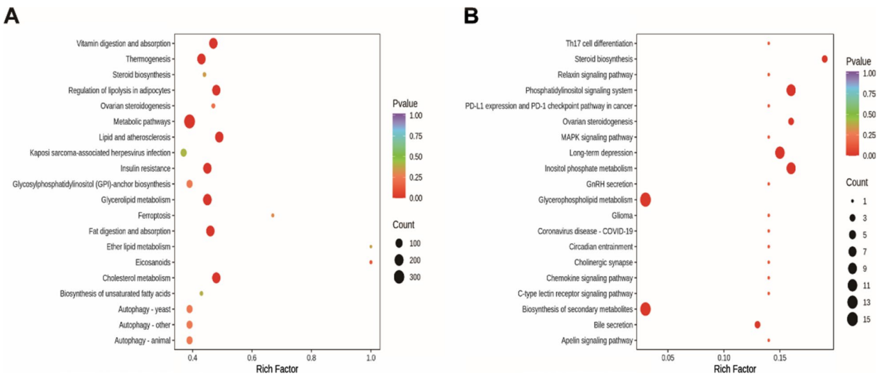 网络药理学 | IF 8.44！综合脂质组学和网络药理学分析揭示小檗碱治疗高脂血症的机制 - 知乎
