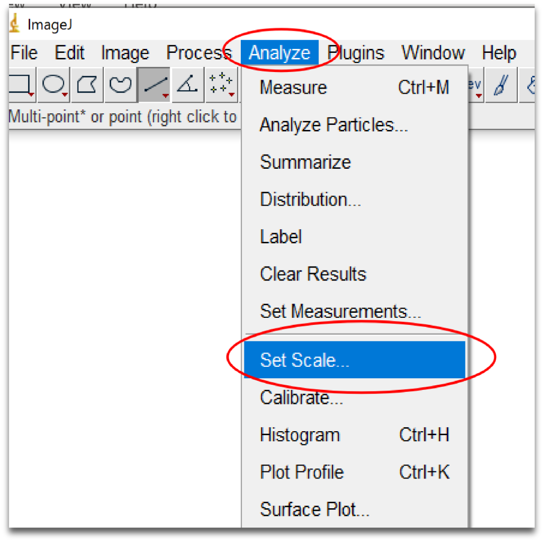 干货教程丨ImageJ软件测量粒径分布如何操作？ - 知乎