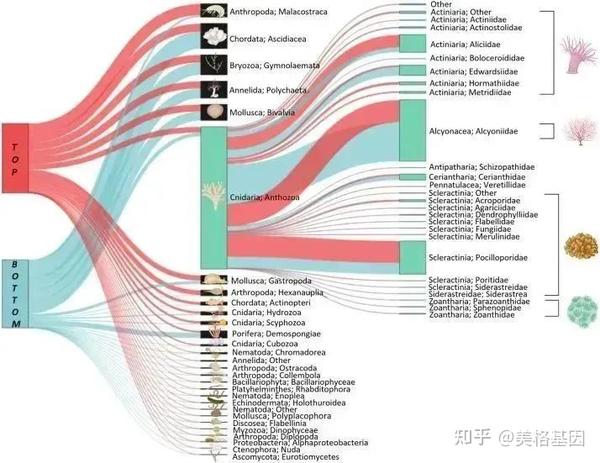 佳作解读|使用环境DNA(eDNA)宏条形码方法评估和监测3D修复珊瑚礁的生物多样性 - 知乎