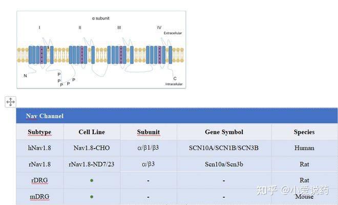 Nav1.8（VX-548）|离子通道检测|膜片钳检测服务|药物筛选服务 - 知乎
