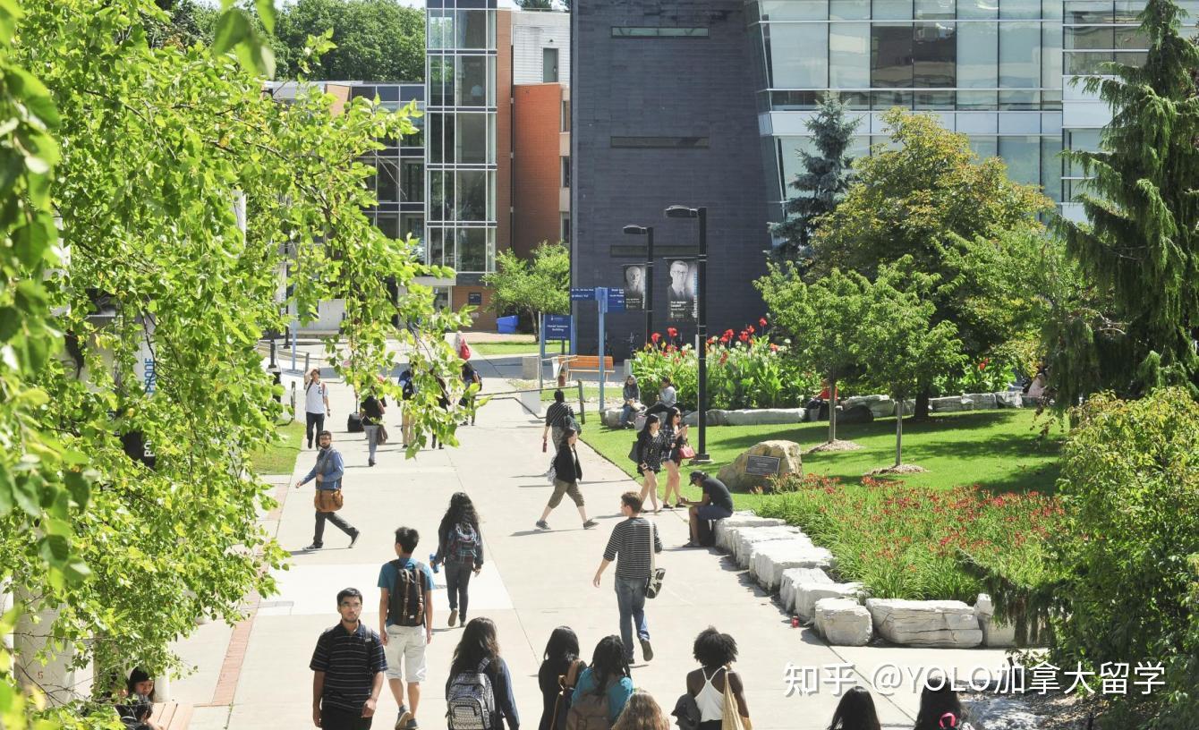 【精华】多伦多大学士嘉堡校区绿色通道双录项目全解析 - 知乎