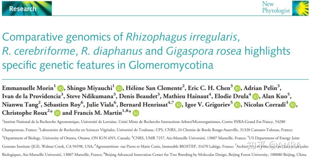 目前最全的丛枝菌根真菌基因组（8个菌种） - 知乎