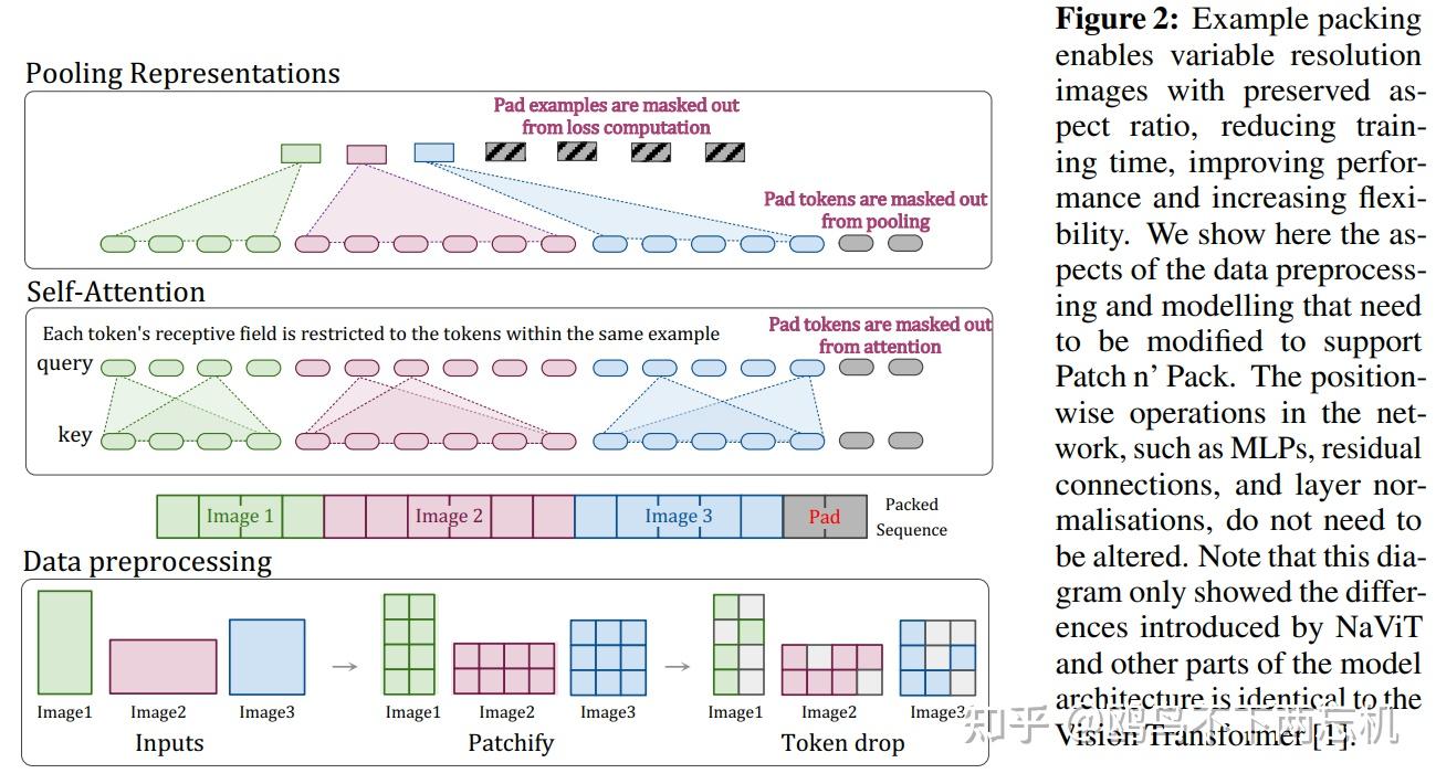 （PNP）Patch n' Pack: NaViT, a Vision Transformer for any Aspect Ratio ...
