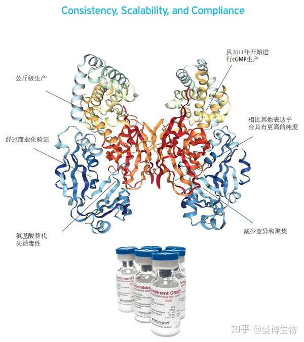 cGMP等级 CRM197——已用于批准上市的结合疫苗-Pfenex-上海曼博生物 - 知乎