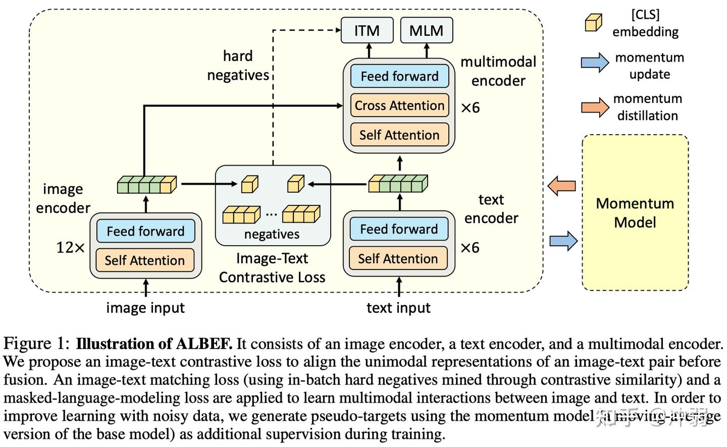 ALBEF:Align before Fuse - 知乎