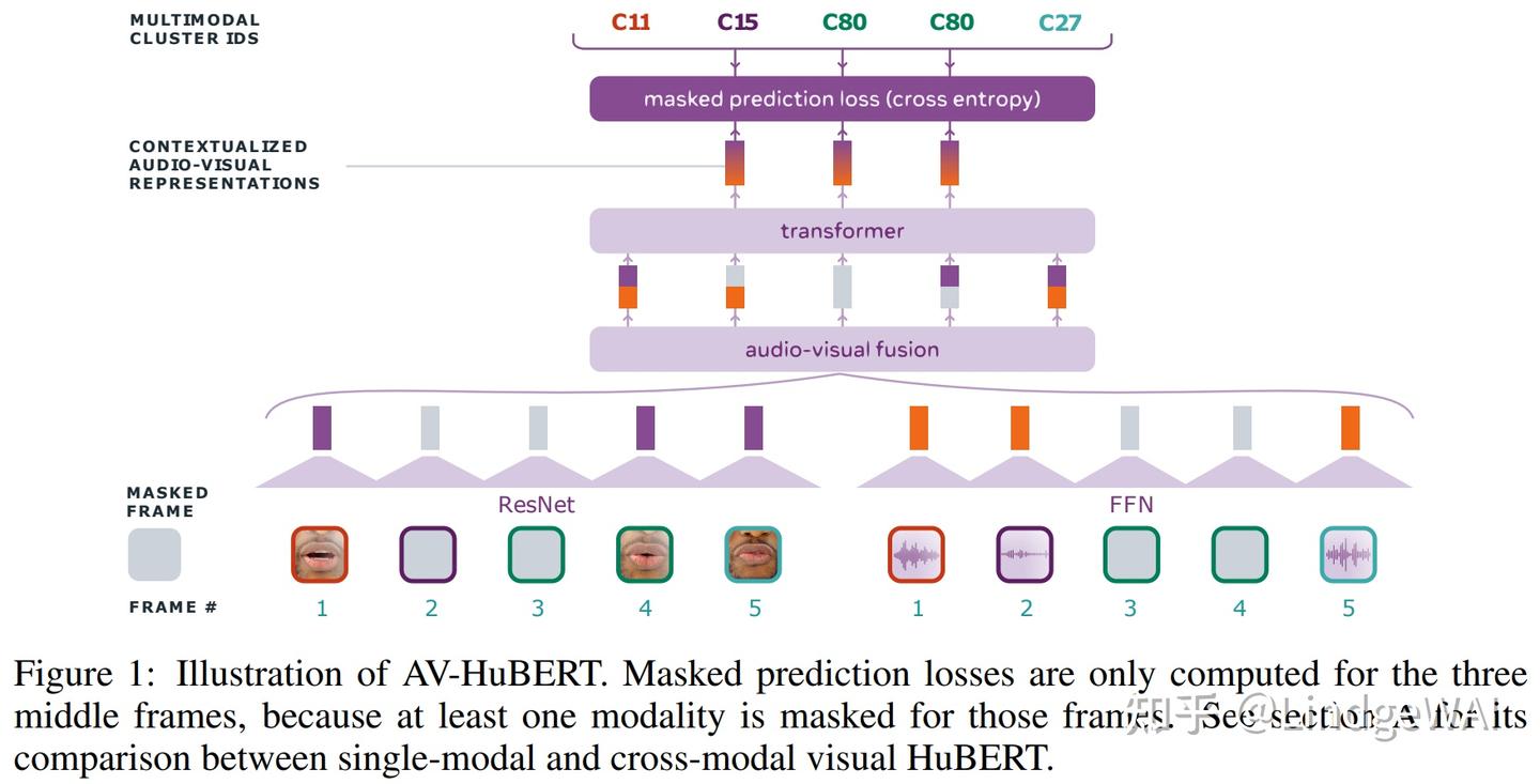 AV-HuBERT for AVSR - 知乎